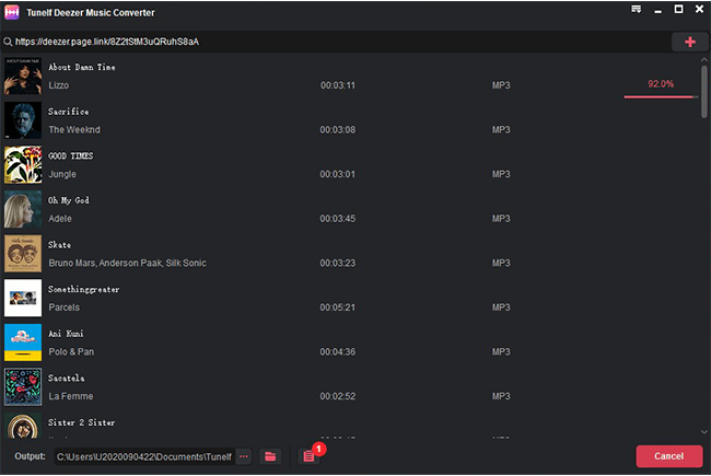 DeezLoader Overview and Best DeezLoader Alternative - TunesMake